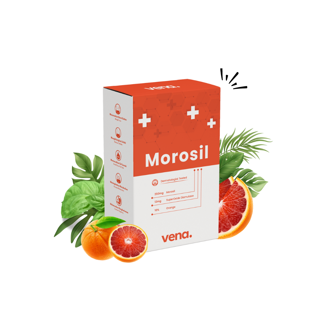 Morosil HQ - Morosil HQ